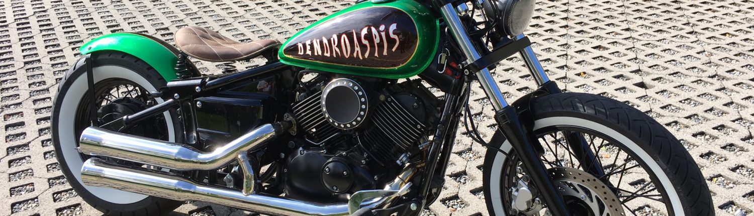 Motorrad Umbau Tuning by crazy riders